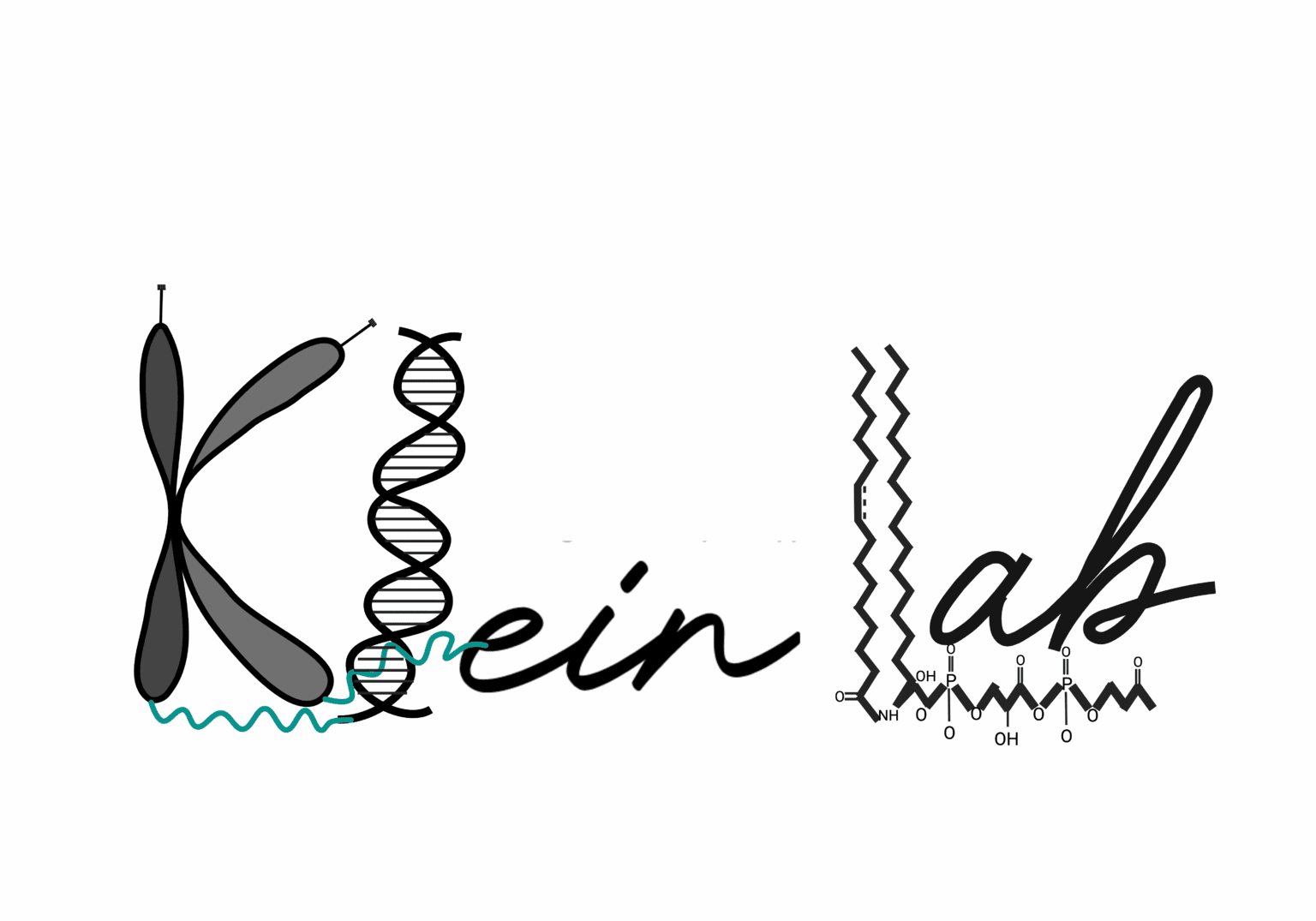 New paper with the Yakoby and Piccoli labs! | Bacterial Cell Biology ...